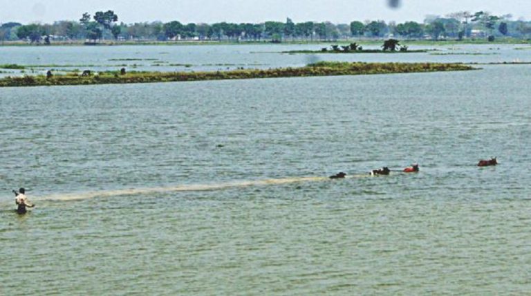 Haor Area – Welcome to Prochesta